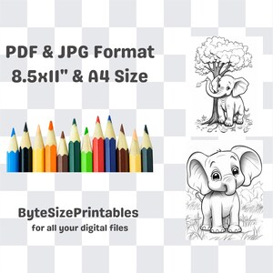 Baby Elephant Coloring Pages Printable – Easy Printable Sheets for Kids ...