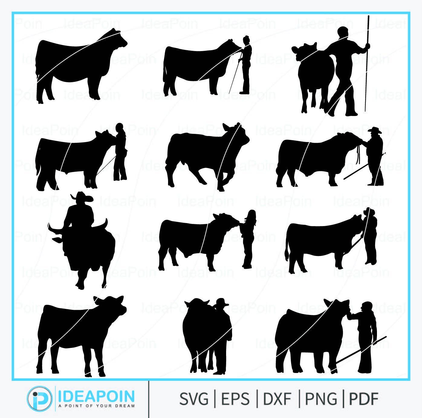 Show Steer Svg, Clipart Livestock Svg, Show Steer Bundle, Beef Cow PNG ...