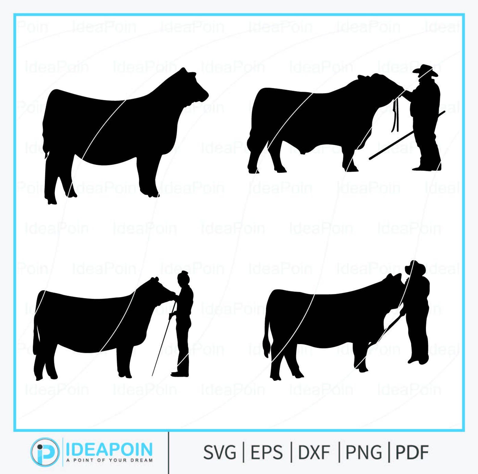 Show Steer Svg, Clipart Livestock Svg, Show Steer Bundle, Beef Cow PNG ...