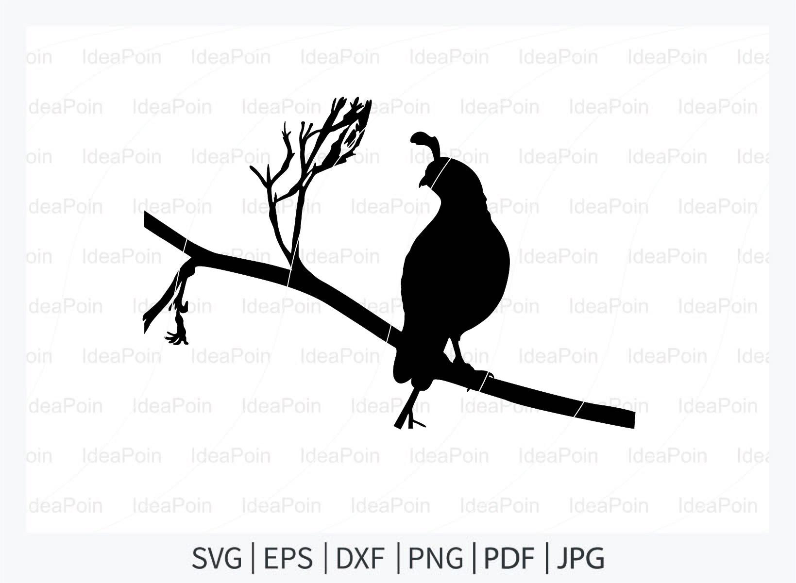 Quail Svg, Quail Bird SVG Files Bundle, Quail Silhouette, Quail Bird ...