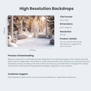 Winter Digital Backdrop Set, Maternity Backdrop Overlays, Studio ...