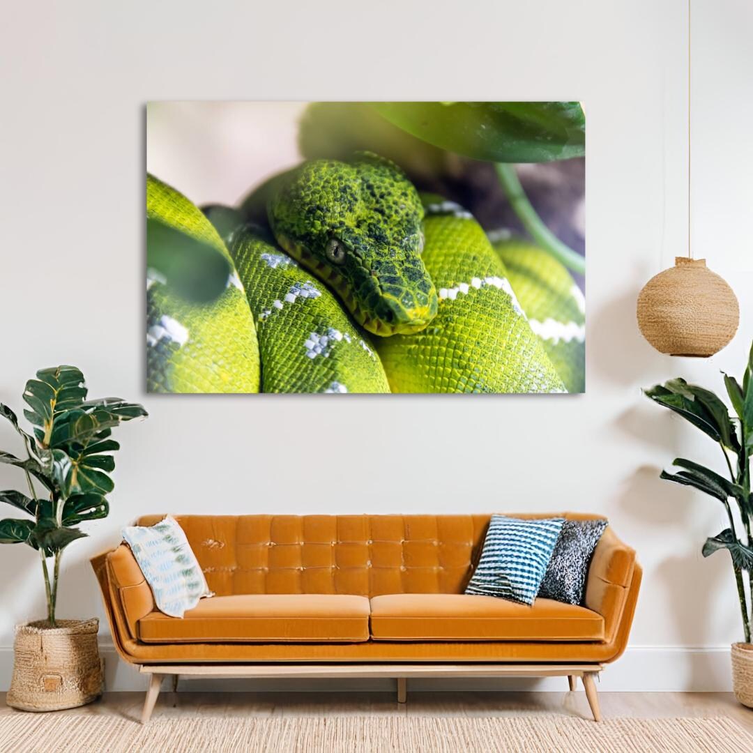 Emerald Green Boa Snake Photo | Instant Download for Printing, Decor ...