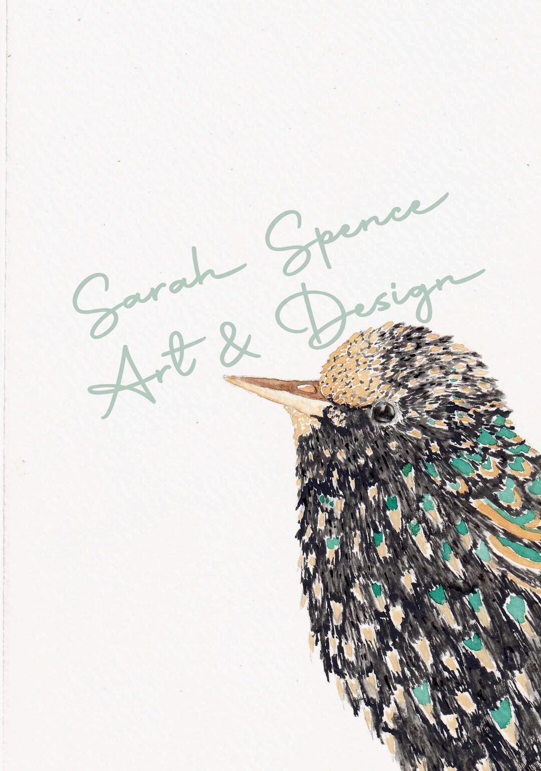 European Starling Watercolor Art Print / Giclée Starling Art ...