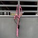 Lariat Rope Halter - Etsy