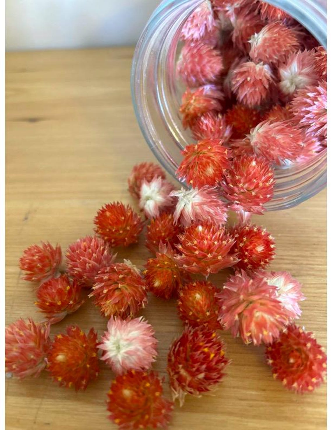 Dried Gomphrena, Globus Amaranth Flower Heads - Etsy