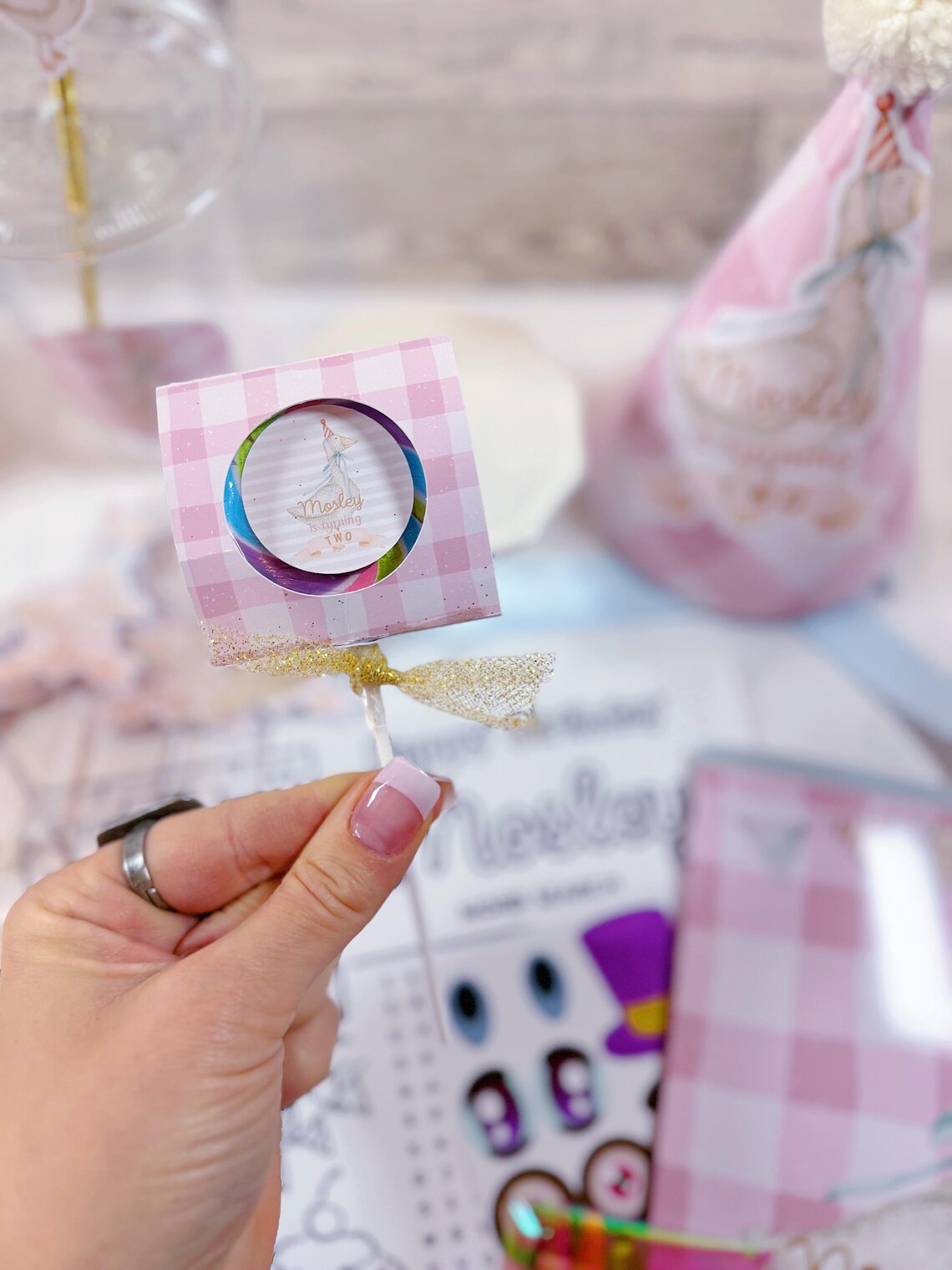 Silly Goose Lollipop Party Favors: Custom Birthday Theme - Etsy