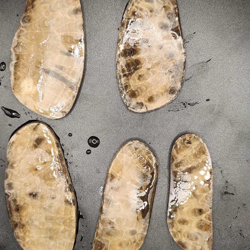 Michigan Stone Slab - Etsy