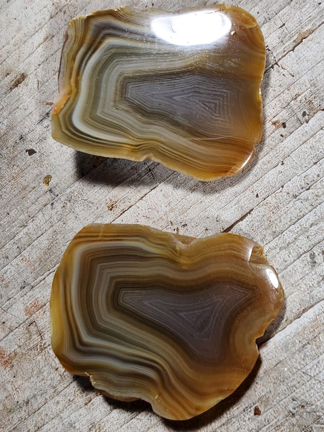 Island Agate Cut Halves - Polished - Etsy
