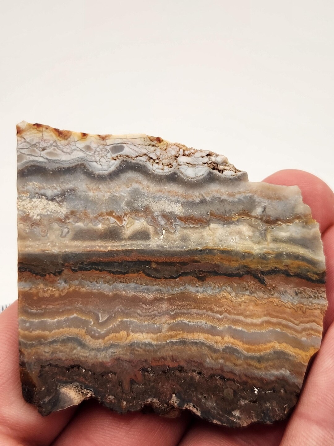 Mexican Crazy Lace Agate Slabs (unpolished) - Etsy