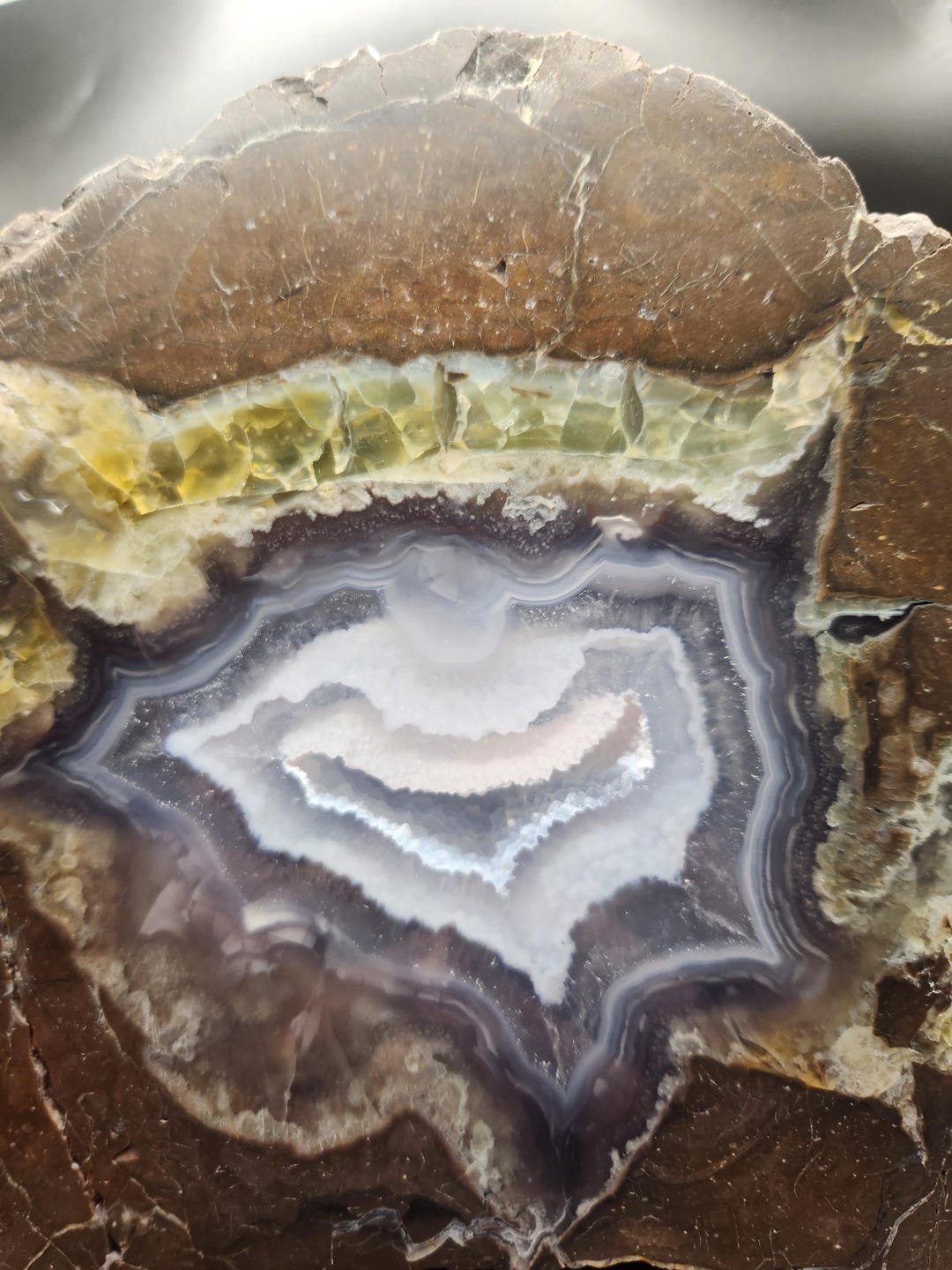 Polished Canyon Rim Thunder Egg Half Nodule - Etsy