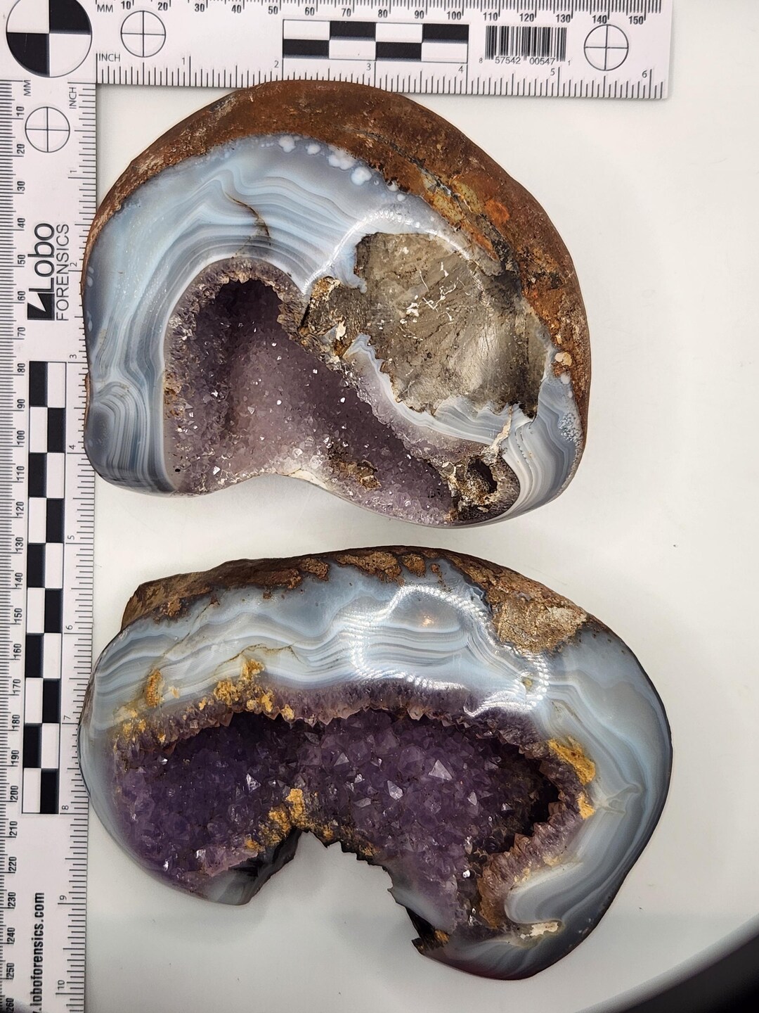 Amethyst Geodes - Polished Specimen - Etsy