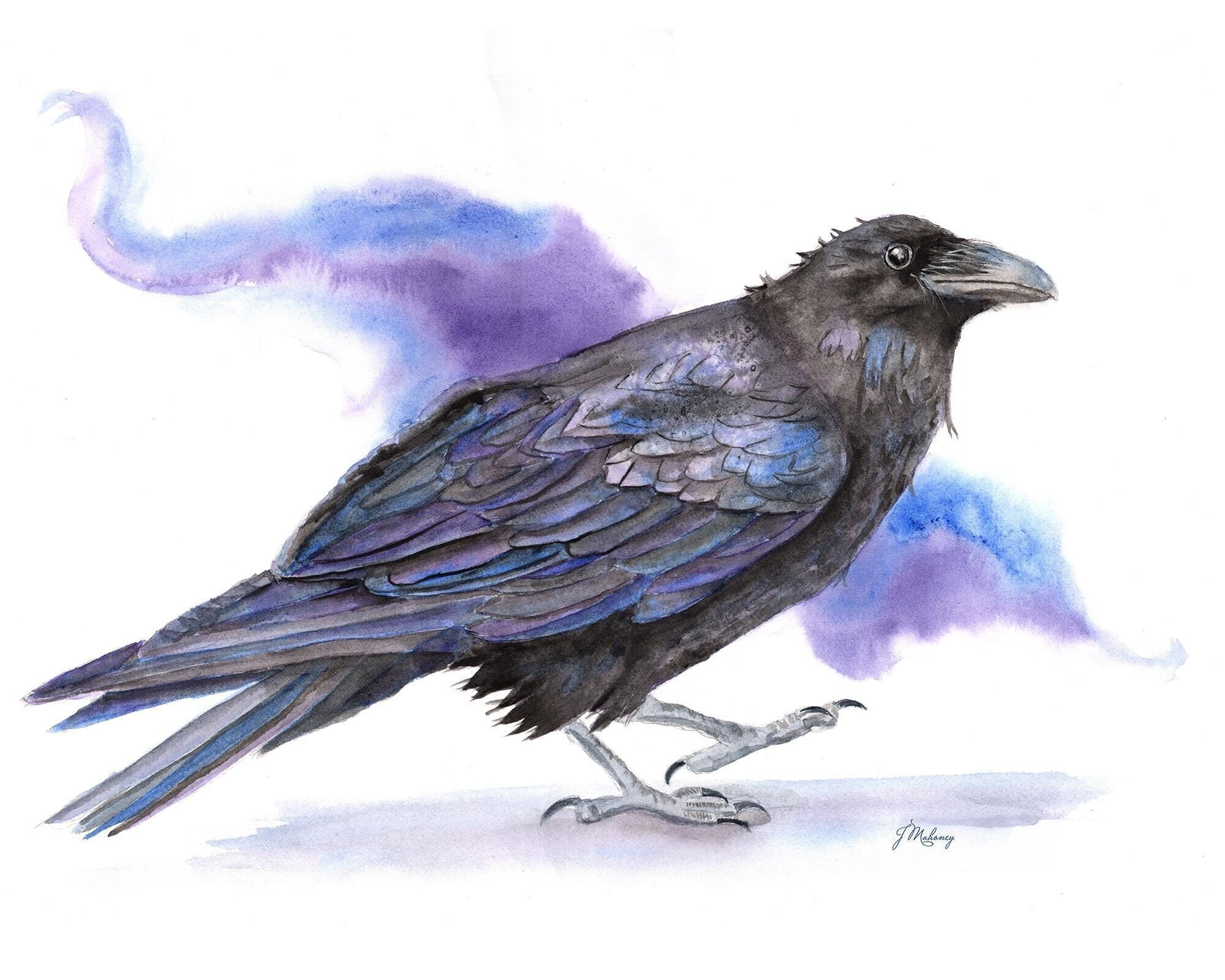Colorful Raven Watercolor Art Print - Beautiful Hand Painted Wall Art ...