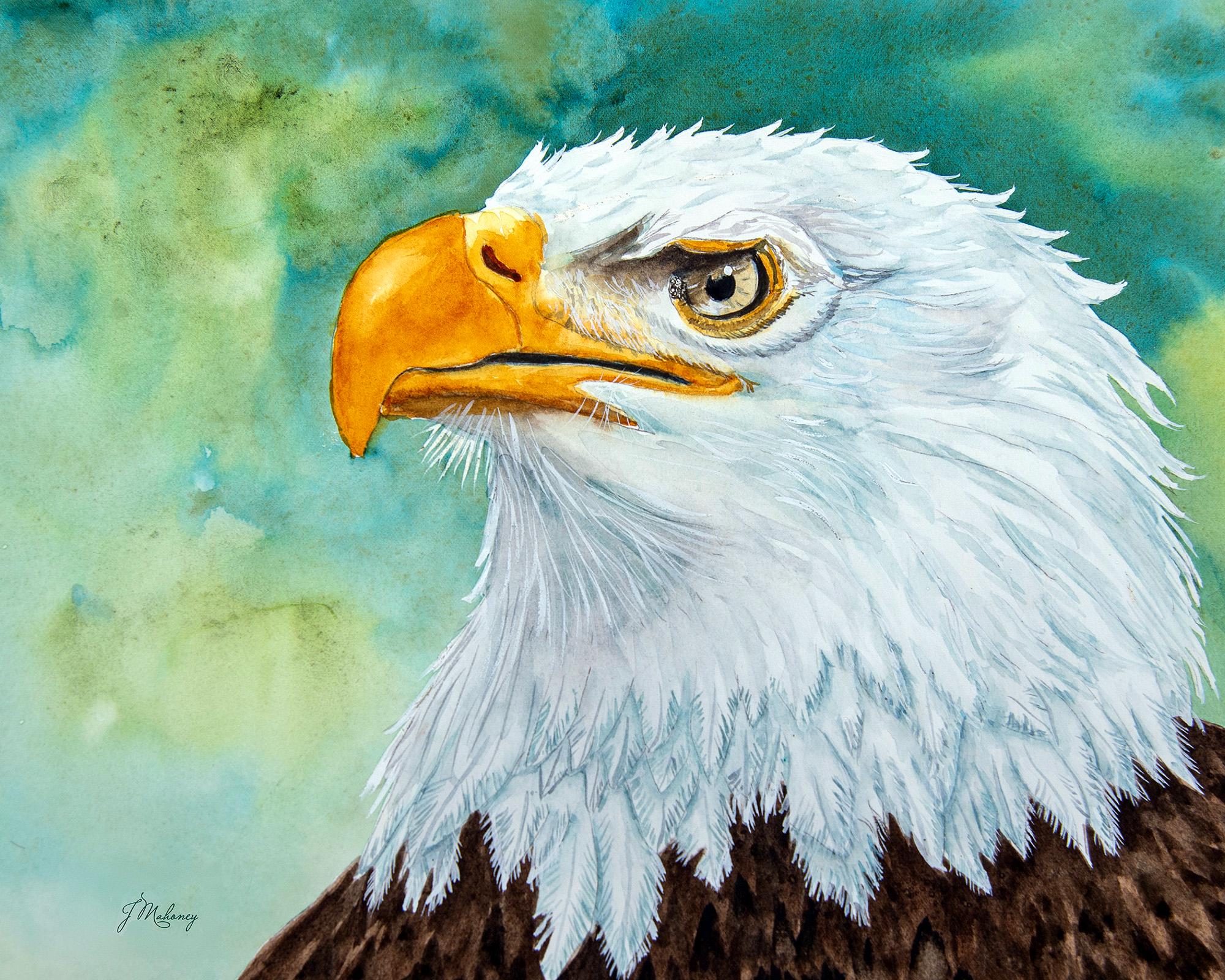 Her Majesty, Bald Eagle Watercolor Art Print - Beautiful Hand Painted ...