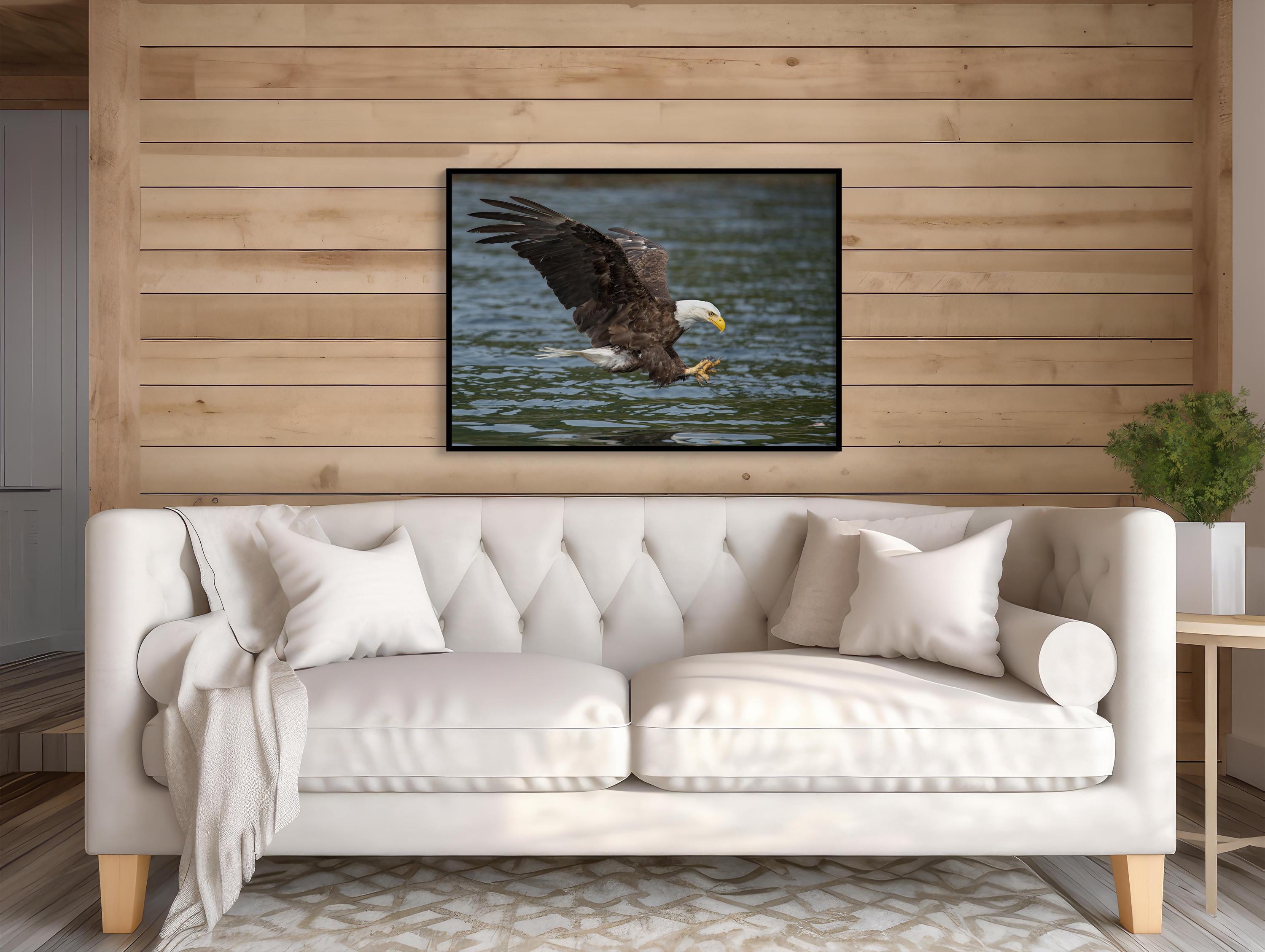 Bald Eagle 1 Catching Fish Photo – Wildlife Nature Photography Print ...