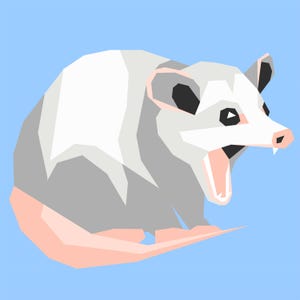 Screaming Possum | FPP Quilt Pattern | Instant PDF Download ...