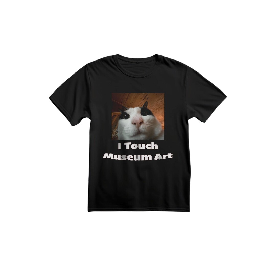 Museum Art Meme T-shirt: Funny Slogan Tee - Etsy