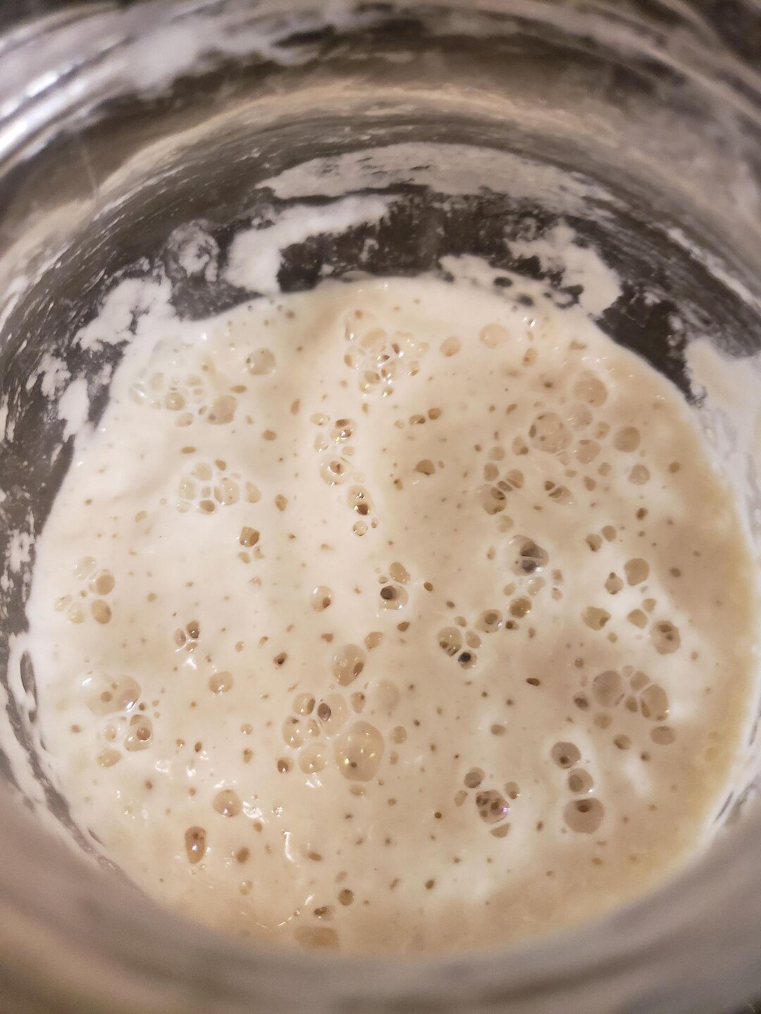 Abbey Active Sourdough Starter, 25 Grams, EST 1852. First Flour Feed ...
