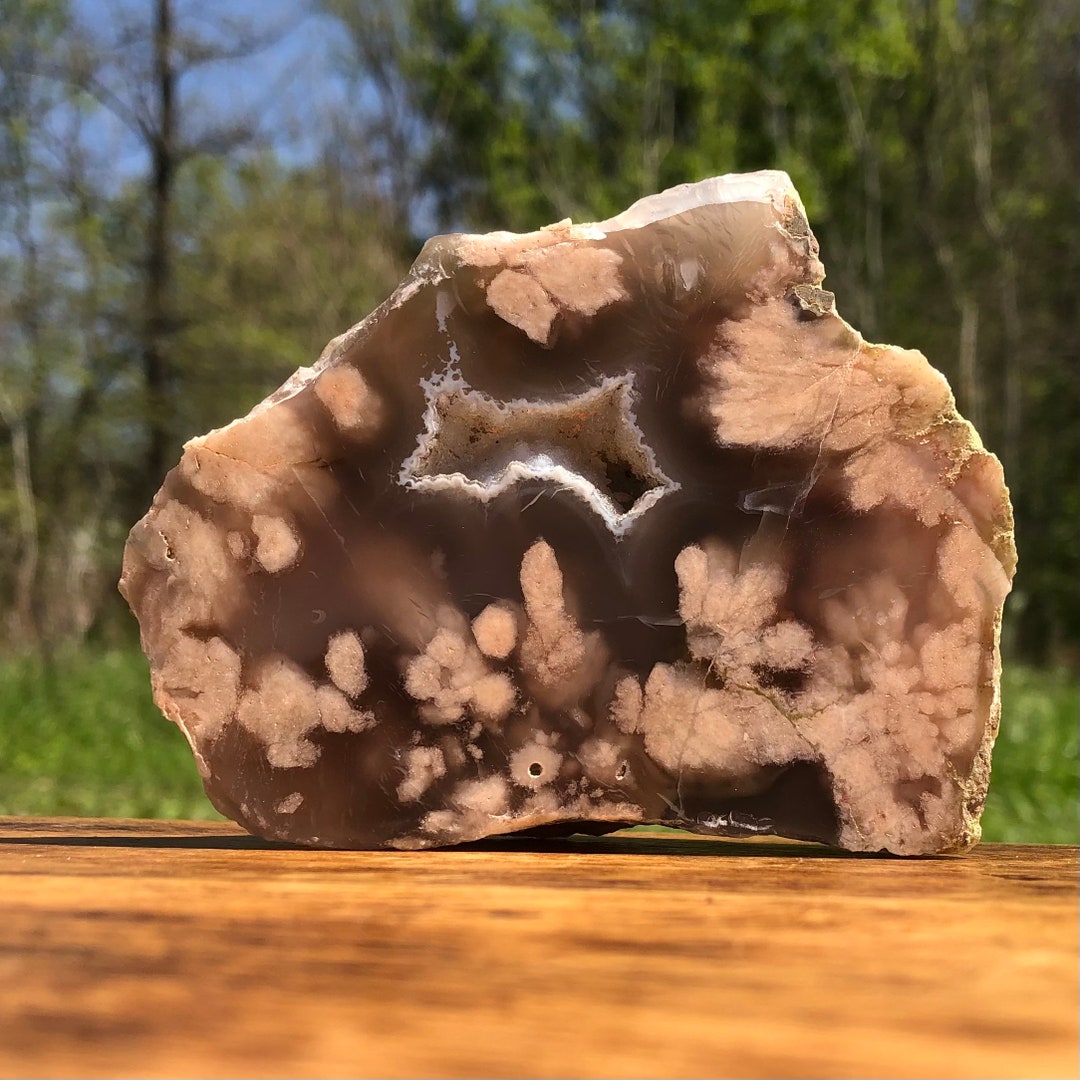 Choose Your Own Polished Flower Agate Geode Slice | Flower Agate Slab ...