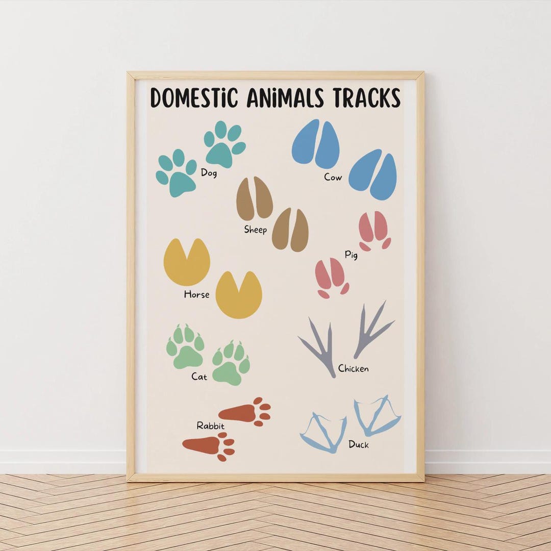 Animal Tracks Educational Poster: Kids Playroom Wall Art (digital ...