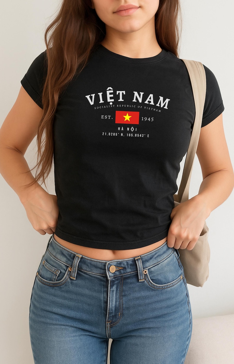 Vietnam Baby Tee, Việt Nam Y2K Crop Top, Vintage Hanoi Flag Shirt ...