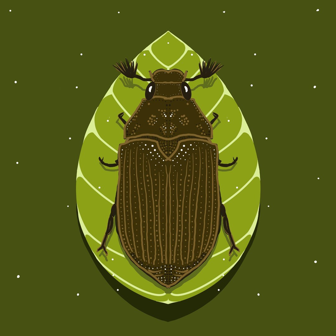 Beetle (salagubang) on a Green Leaf - 8x8 Filipino Inspired Digital Art ...