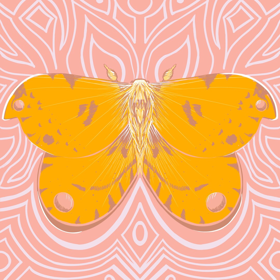 Yellow Monkey Moth, 8x8 Filipino Inspired Digital Art Print of Original ...