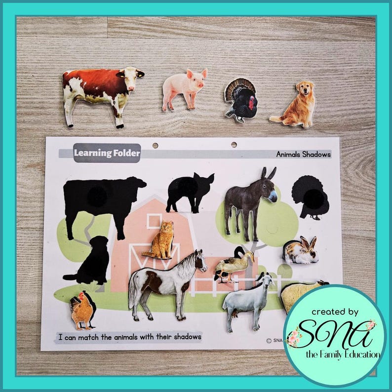 Animals Shadow Matching, File Folder Game, Learning Folder, Busy Quiet ...
