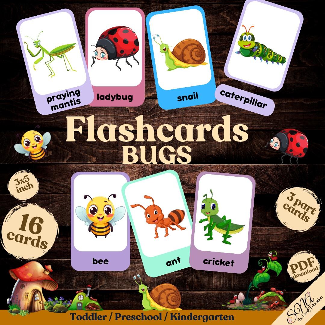 Bugs Insects Spring Matching 3 Part Cards Science Flashcards Center ...