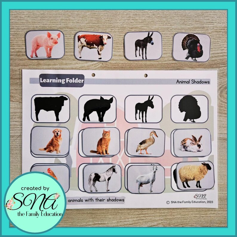 Animals Shadow Matching, File Folder Game, Learning Folder, Busy Quiet ...