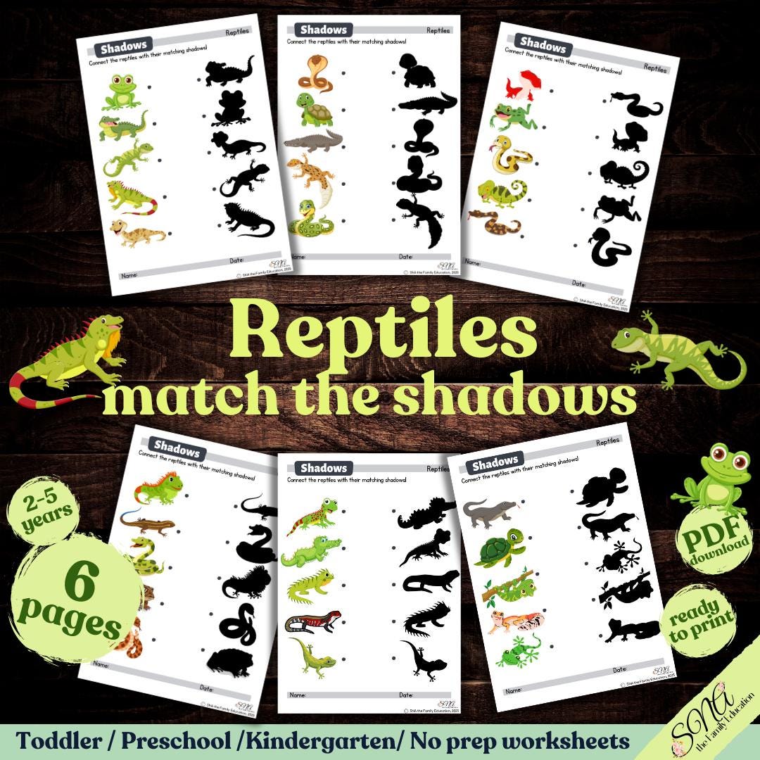 Reptiles Shadow Matching Worksheets Activities Games for Toddler ...