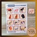 Farm Animals, File Folder Game, Learning Folder, Busy Quiet Book, Busy ...