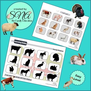 Animals Shadow Matching, File Folder Game, Learning Folder, Busy Quiet ...