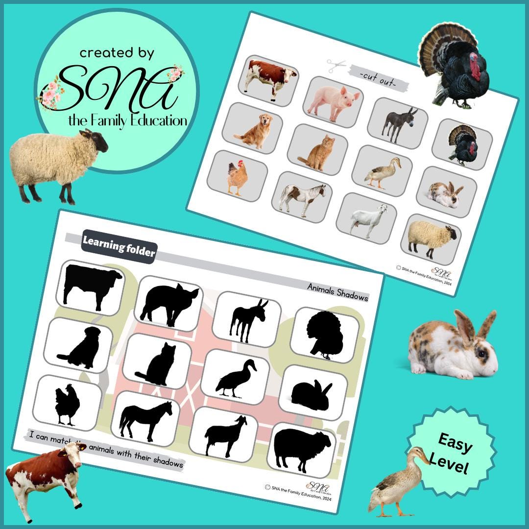 Animals Shadow Matching, File Folder Game, Learning Folder, Busy Quiet ...