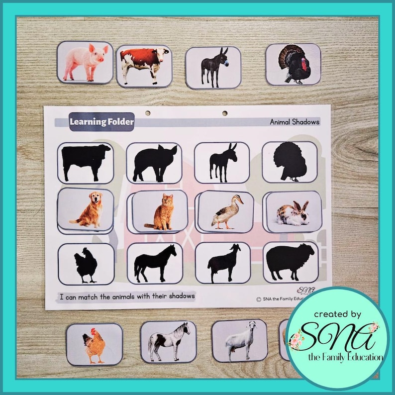 Animals Shadow Matching, File Folder Game, Learning Folder, Busy Quiet ...