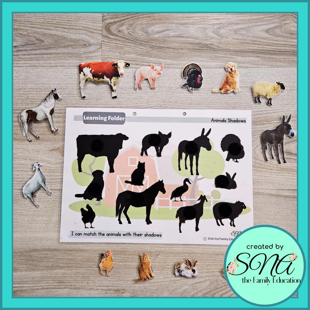 Animals Shadow Matching, File Folder Game, Learning Folder, Busy Quiet ...