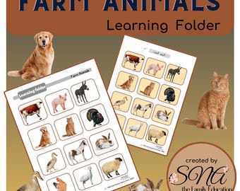 Shapes, File Folder Game, Learning Folder, Busy Quiet Book, Busy Binder ...