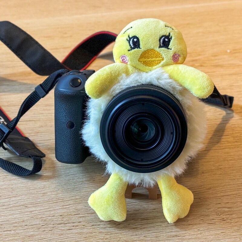 Lens Buddy - Etsy