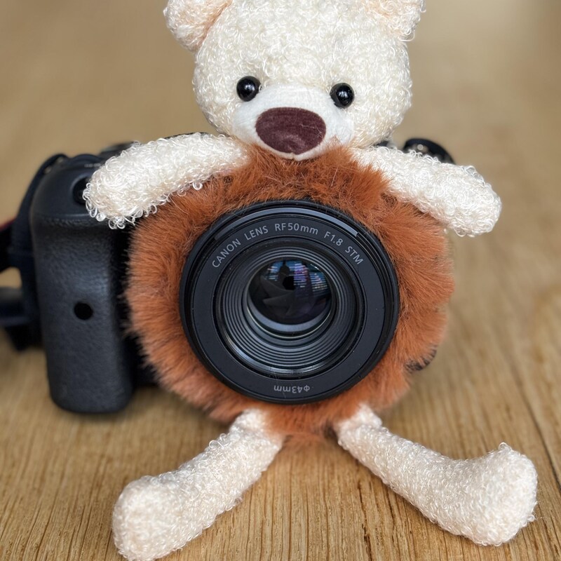 Lens Buddy - Etsy