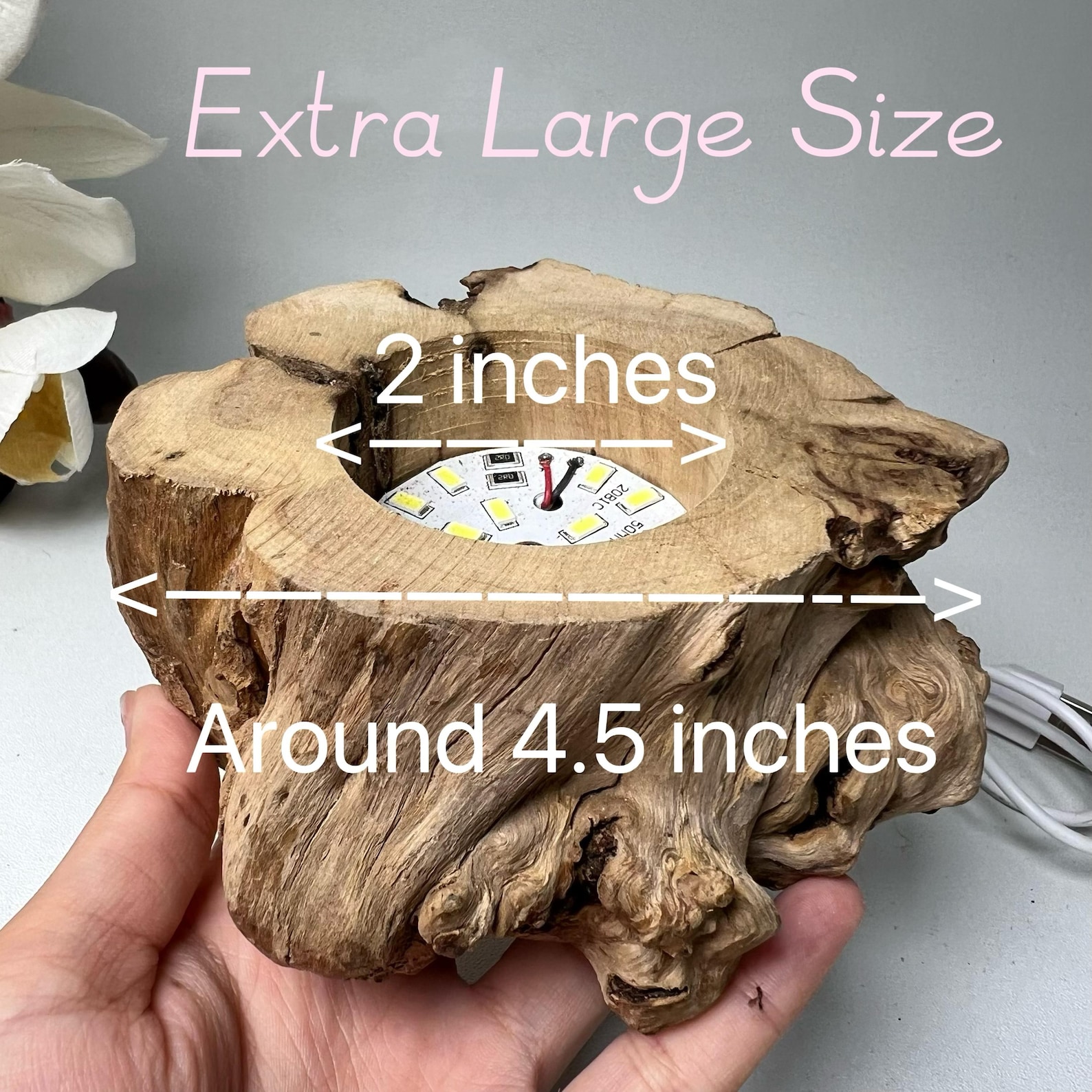 Large LED Wooden Light Display Base – White Light for Crystals ...