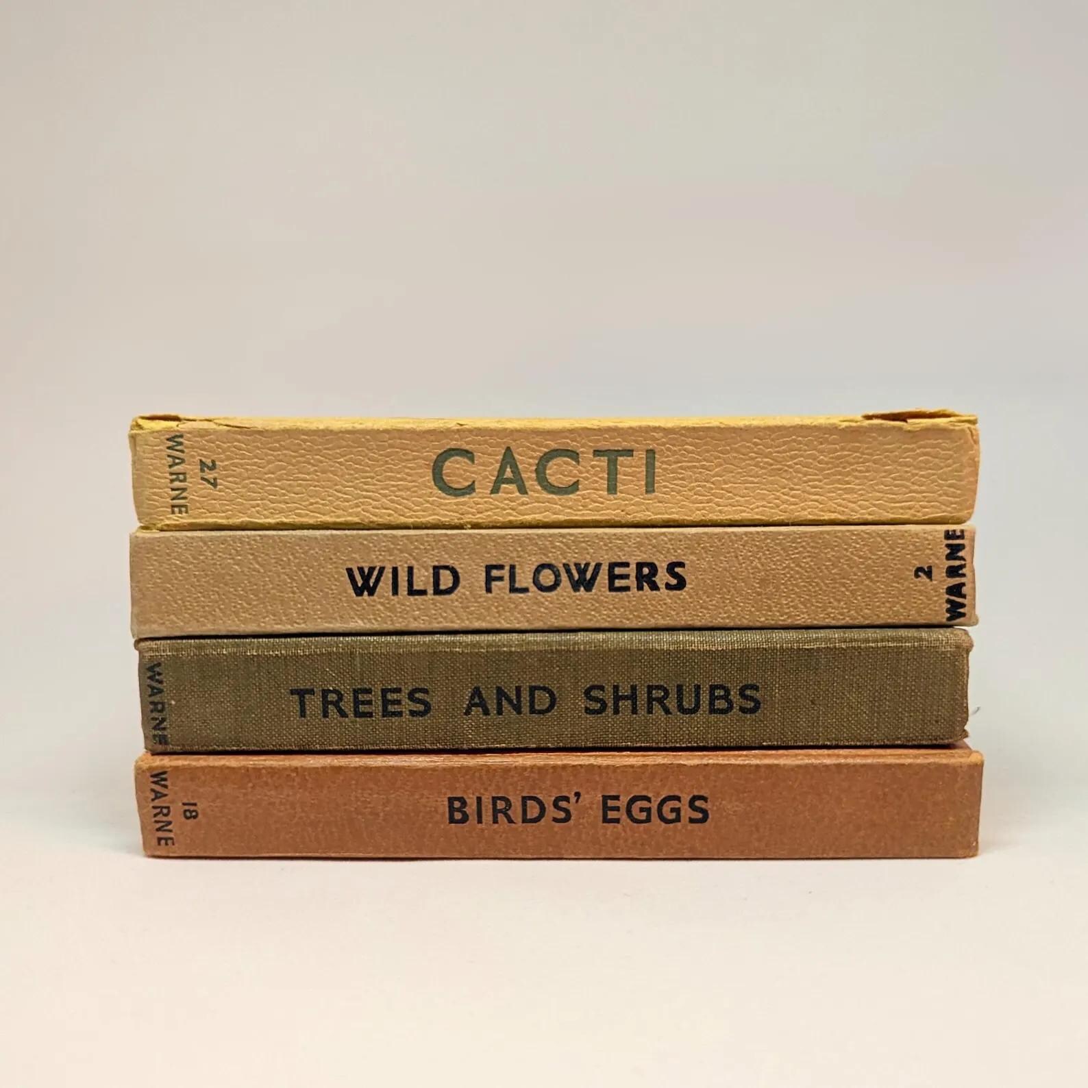 Set of Observers Books, Colourful Hardcover Vintage 60s and 70s, Shelf ...