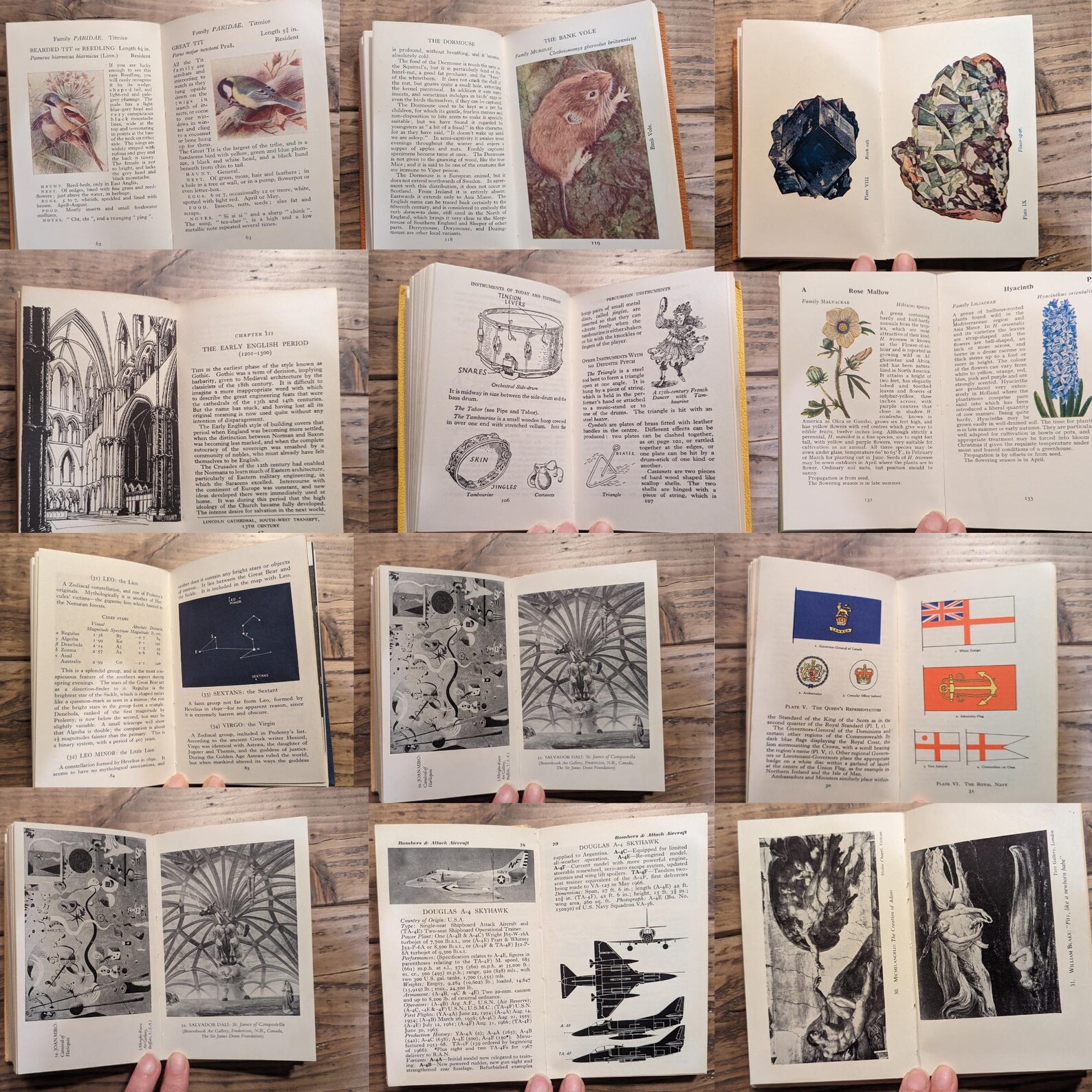 Set of Observers Books, Colourful Hardcover Vintage 60s and 70s, Shelf ...