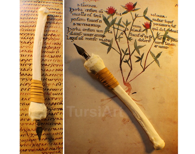 Coyote Leg Bone Pen - Bone Dip Pen Calligraphy Pen Nib Pen Writing Pen ...