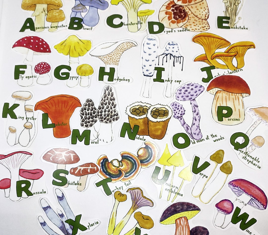 Mushroom Alphabet 26 Sticker Set. Abcs of Mycology. Weatherproof and ...