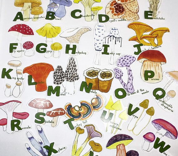 Mushroom Alphabet 26 Sticker Set. Abcs of Mycology. | Etsy