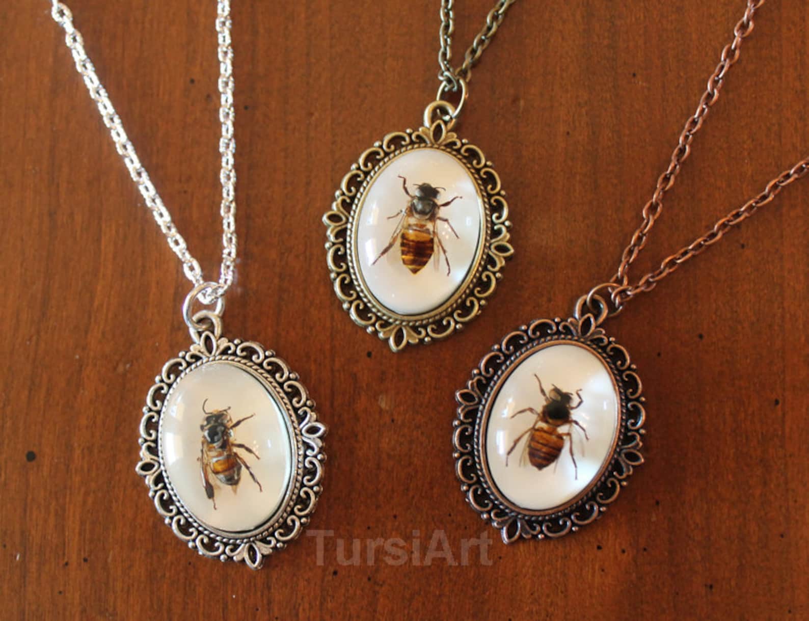 Real Honey Bee Pendant. Real Bug Taxidermy Necklace. Preserved | Etsy