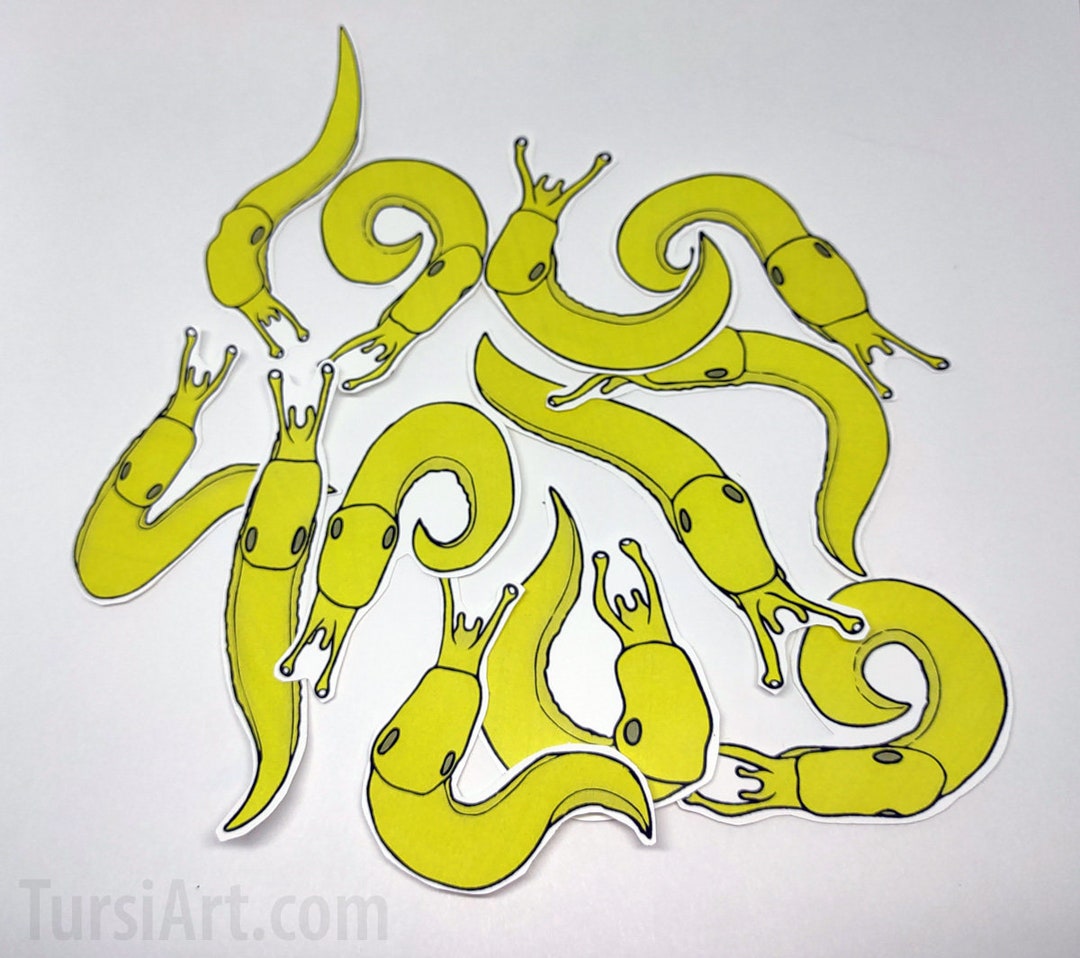 Banana Slug 12 Sticker Set. Weatherproof and Dishwasher Safe. A Dozen ...