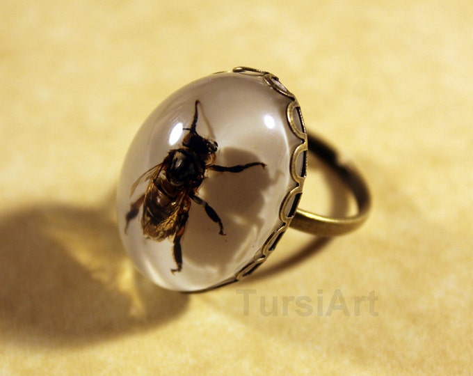 Bee Ring Real Honey Bee in Resin Brass Ring or Silver Ring Adjustable ...