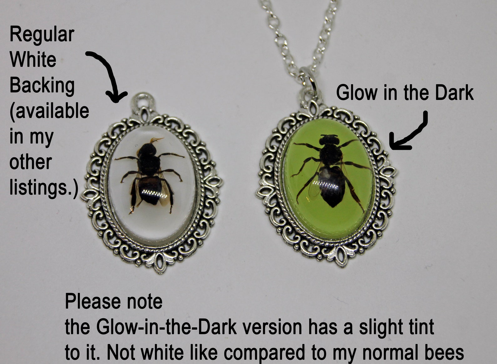 Glow in the Dark Honey Bee Pendant. Real Bug Taxidermy | Etsy