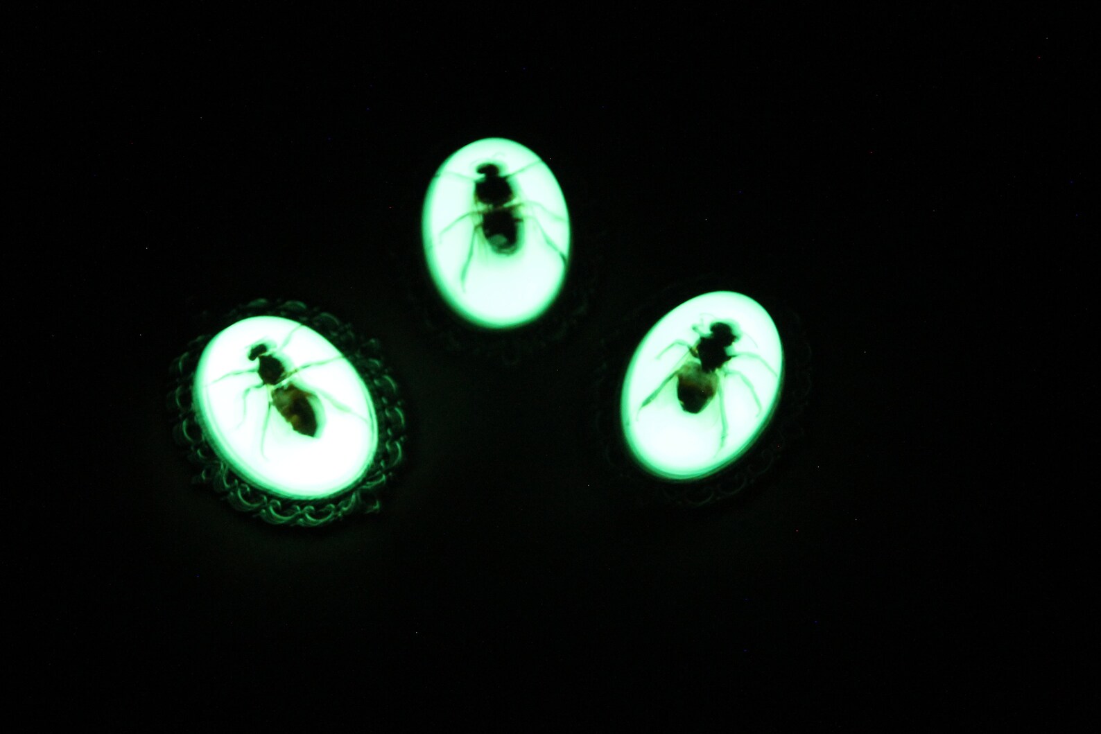 Glow in the Dark Honey Bee Pendant. Real Bug Taxidermy Necklace ...