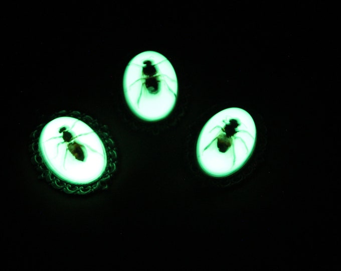 Glow in the Dark Honey Bee Pendant. Real Bug Taxidermy Necklace ...